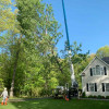 Osorio Tree Service | Tree Removal & Crane Services | Lagrangeville ...